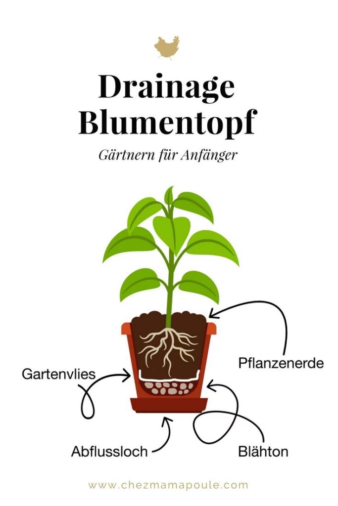 Drainage Richtig Anlegen: Wann Erlaubt & Materialien | Floristik Haenni