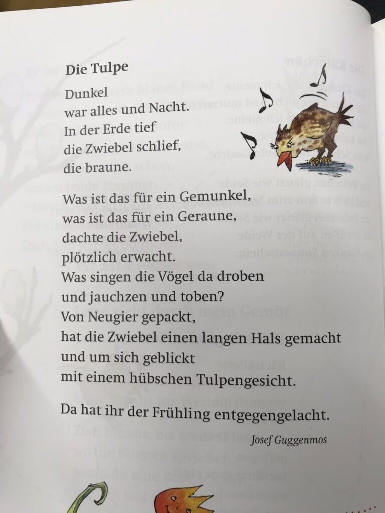Die Tulpe: Mehr Als Nur Eine Frühlingsblume | Floristik Haenni