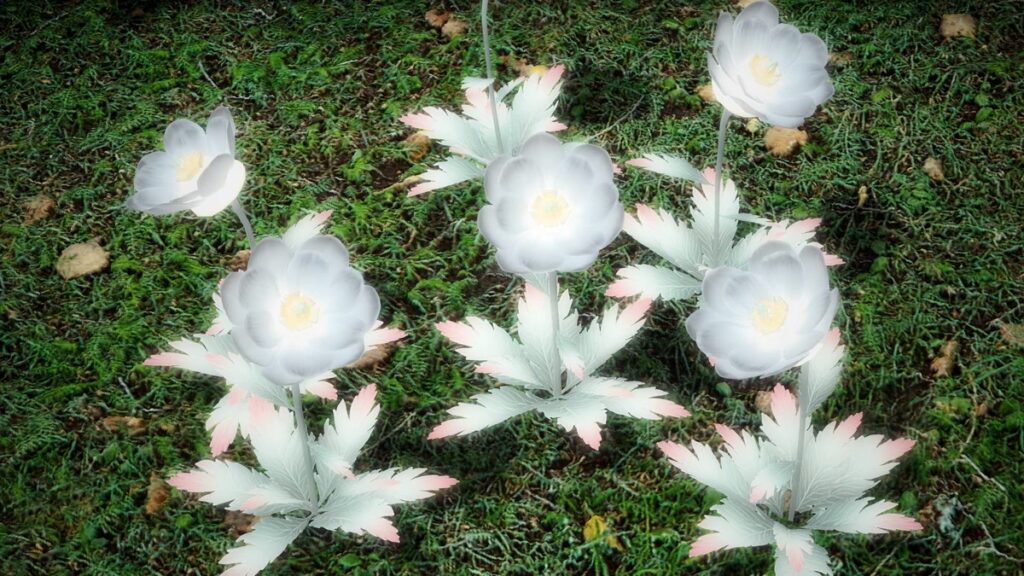Blumen Färben In FFXIV: Eine Umfassende Anleitung | Floristik Haenni