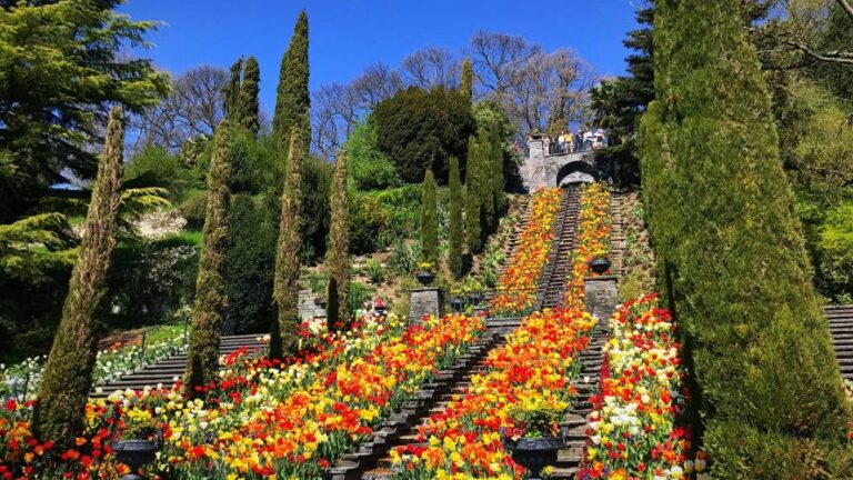 Blütenzauber Der Insel Mainau: Ein Jahreszeiten-Überblick | Floristik ...