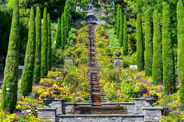 Blütenzauber Der Insel Mainau: Ein Jahreszeiten-Überblick | Floristik ...